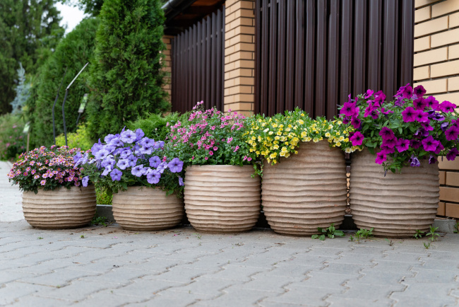 Seasonal Pots, Wellesley, MA | Ferre Landscaping & Exterior Management